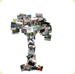 Redbridge Primary ICT Consultant: Shape Collage